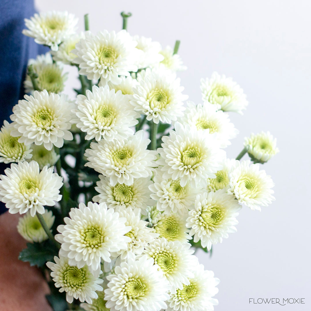 white flower bobble