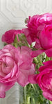 Deep Pink Ranunculus | Fresh DIY Wedding Flowers | Flower Moxie
