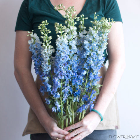 Blue Flowers | Bulk Fresh Wedding Flowers Online | Flower Moxie