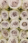 Early Grey Roses | Bulk Fresh DIY Wedding Flowers | Flower Moxie