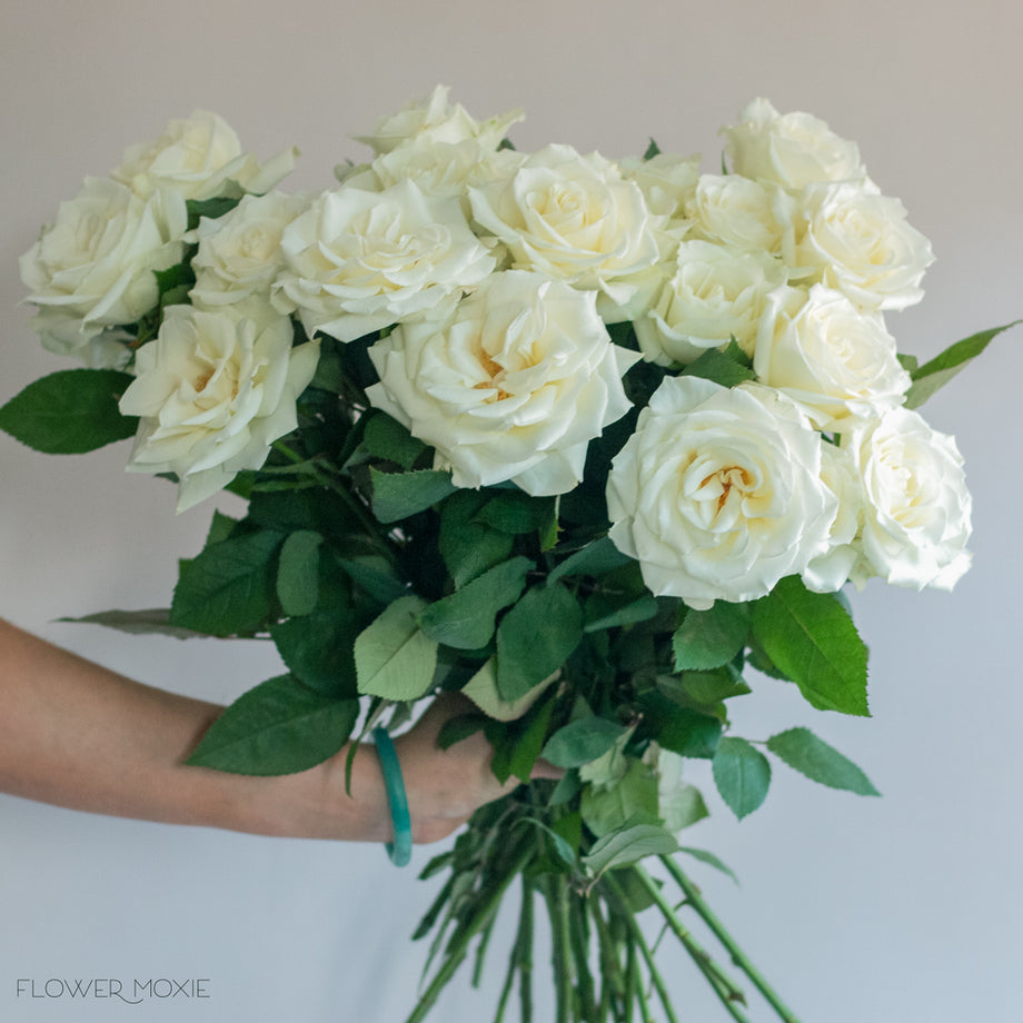 Roses in Bulk | Buy Fresh Roses Online for Wedding | Flower Moxie