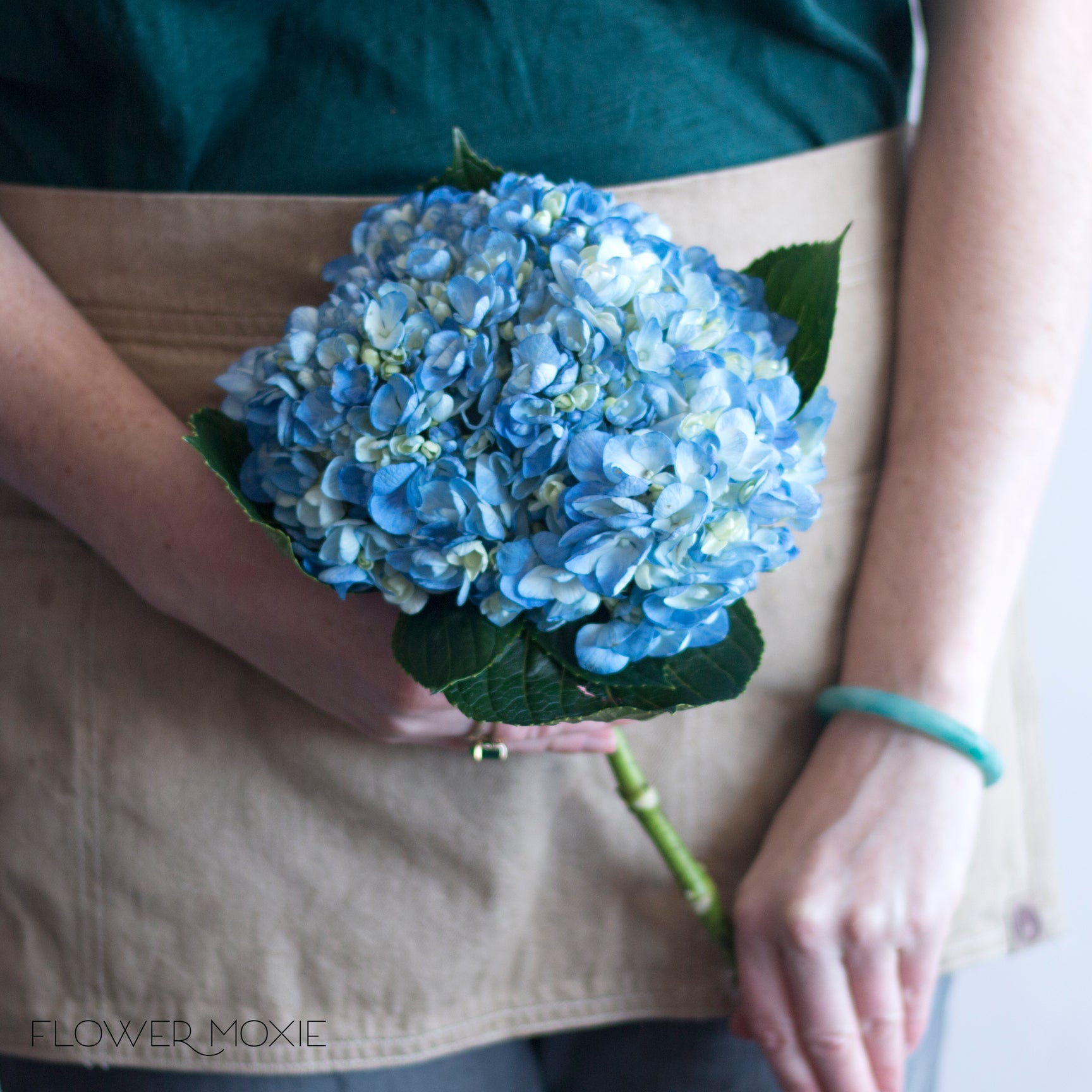 Blue Hydrangea Flower | Fresh DIY Wedding Flowers | Flower Moxie