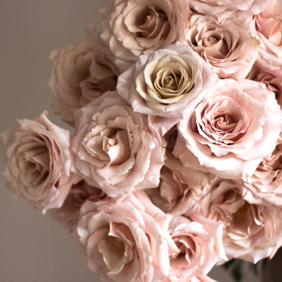 Blush Pink Flowers | Bulk Fresh Wedding Flowers for DIY Brides – Flower ...