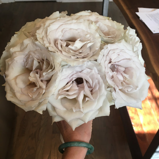 Early Grey Roses | Bulk Fresh DIY Wedding Flowers | Flower Moxie