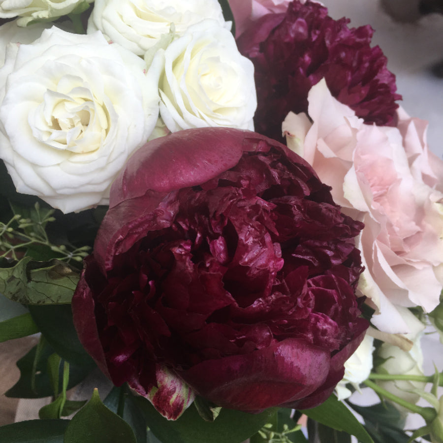 Burgundy Peonies | DIY Wedding Flowers | Flower Moxie