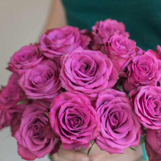 Purple Blueberry Roses | Fresh DIY Wedding Flowers | Flower Moxie