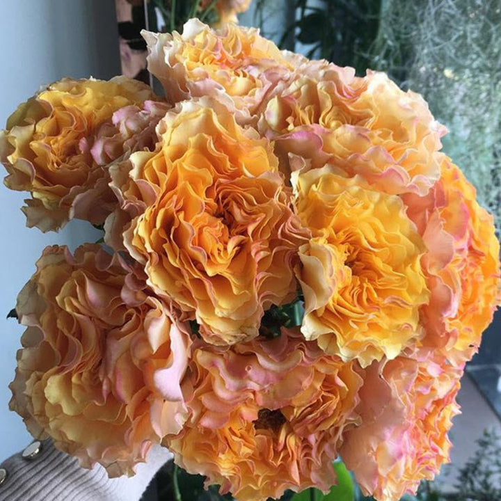 Mayra's Peach Garden Roses | DIY Wedding Flowers | Flower Moxie