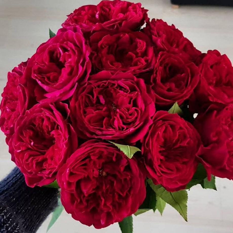 Red Flowers | Bulk Fresh Flowers for DIY Brides | Flower Moxie