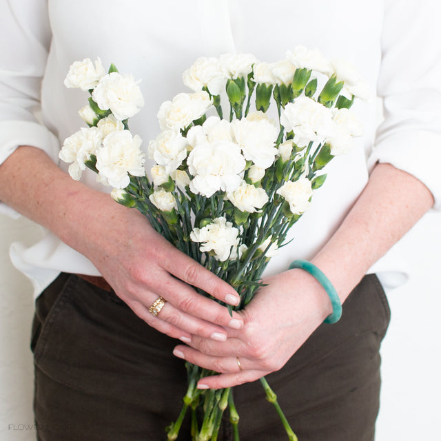 Mini Carnations | DIY Wedding Flowers | Bulk Wedding Flowers – Flower Moxie