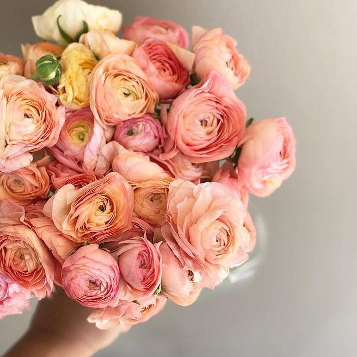 Peach Ranunculus | Bulk Fresh DIY Wedding Flowers | Flower Moxie