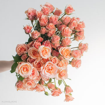 Peach Spray Rose Flower | DIY Wedding Flowers | Flower Moxie