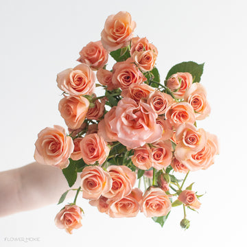 Peach Spray Rose Flower | DIY Wedding Flowers | Flower Moxie