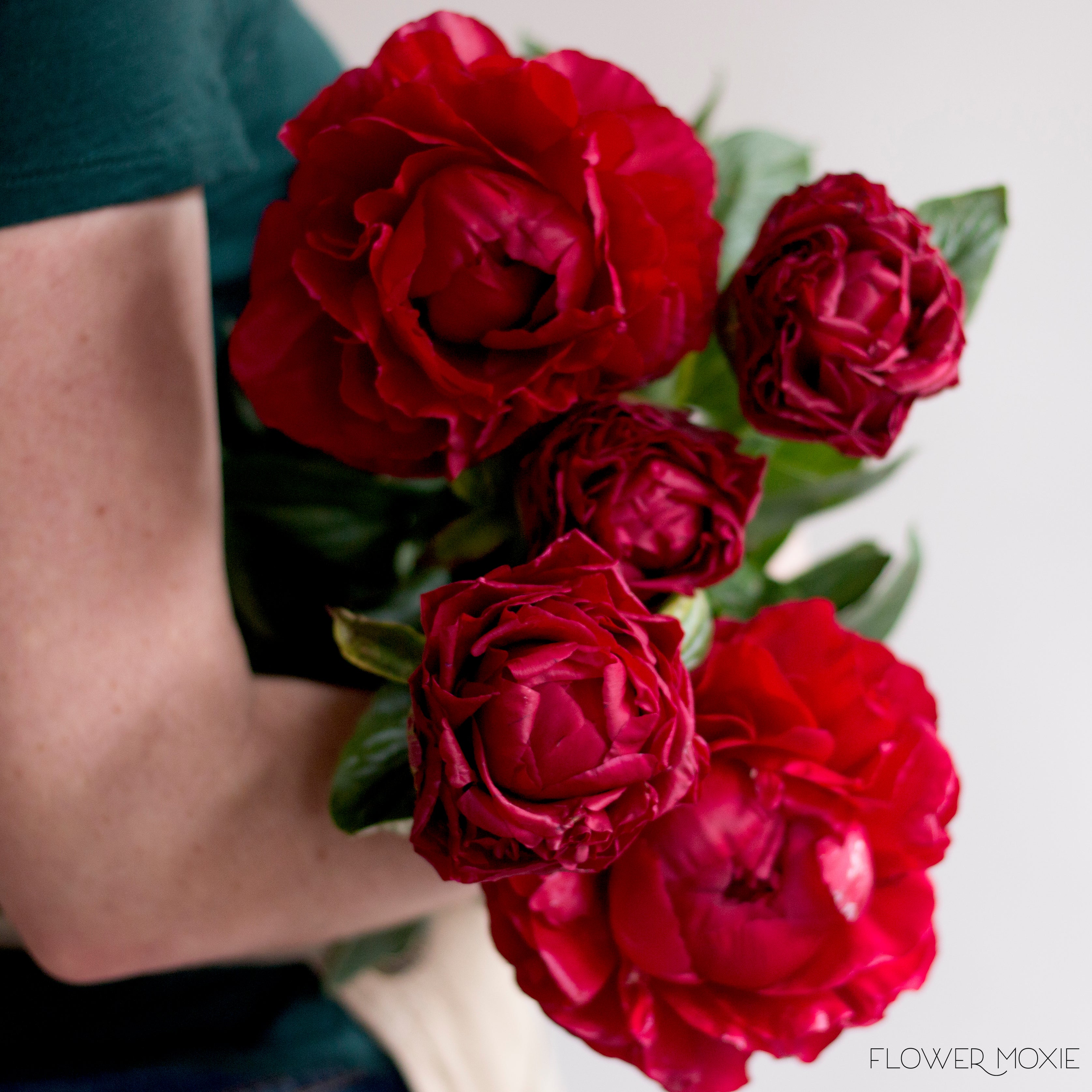 Red Peonies | DIY Wedding Flowers | Flower Moxie