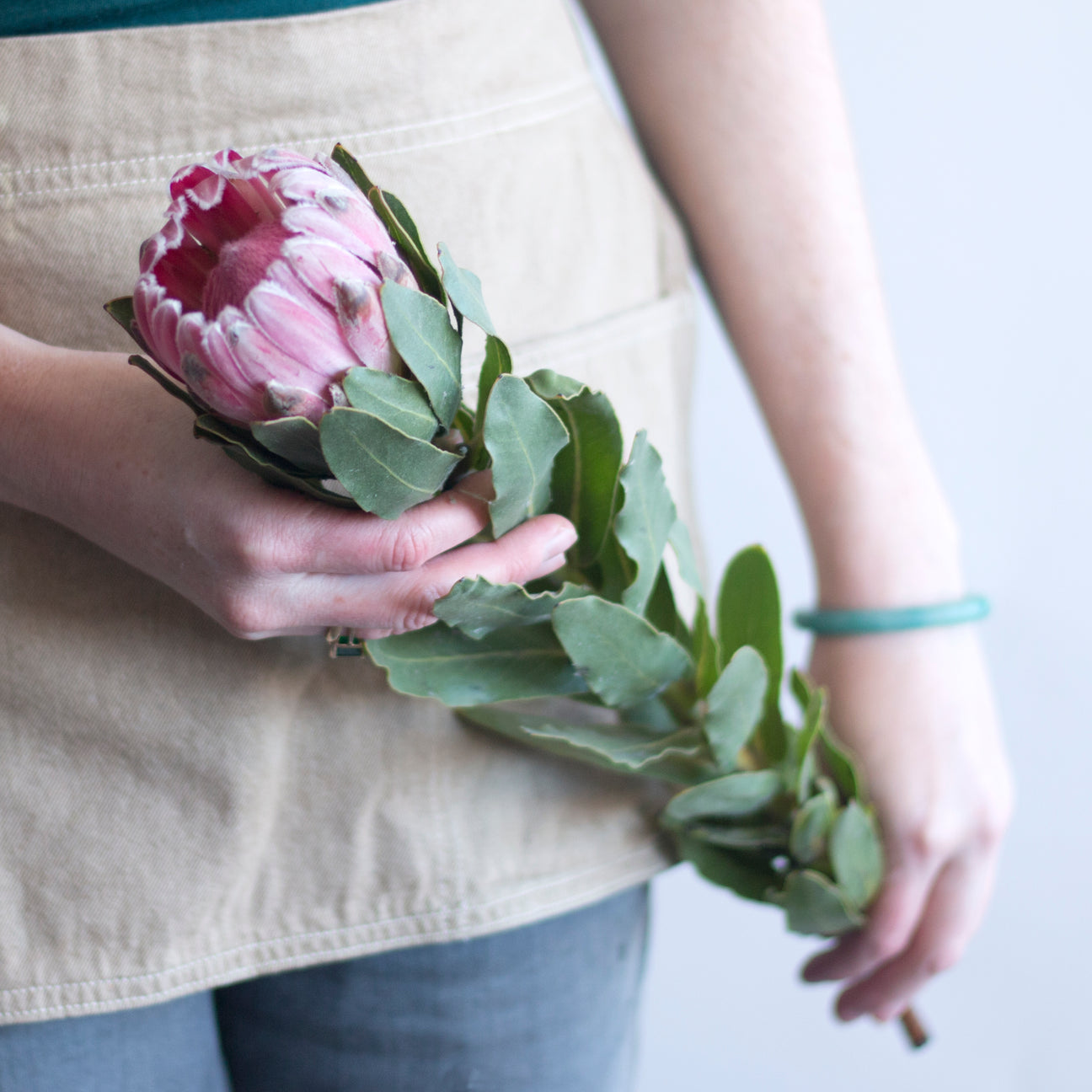 Pink Ice Queen Protea | DIY Wedding Flowers | Flower Moxie