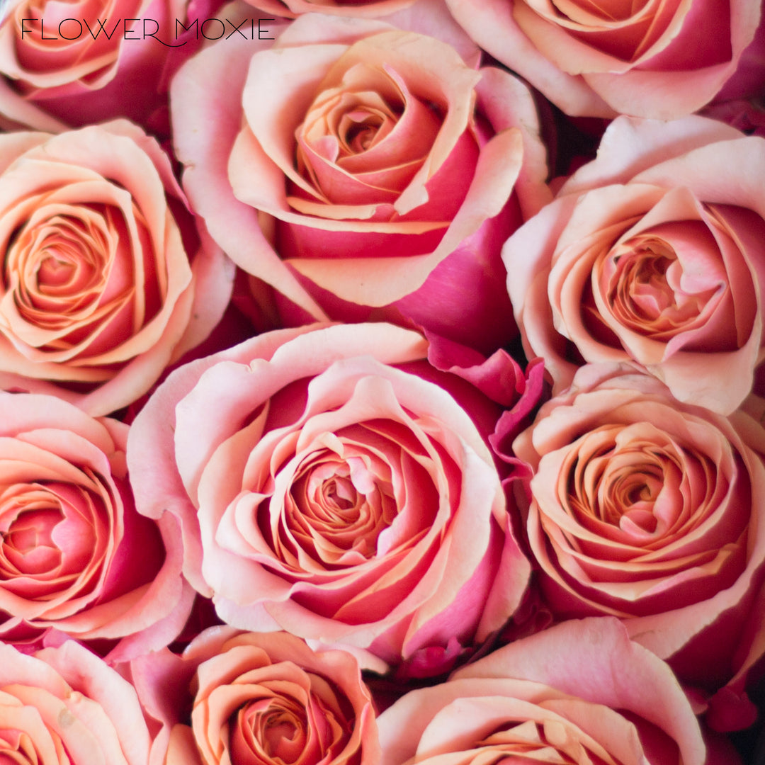 Cherry Brandy Roses | Fresh DIY Wedding Flowers | Flower Moxie